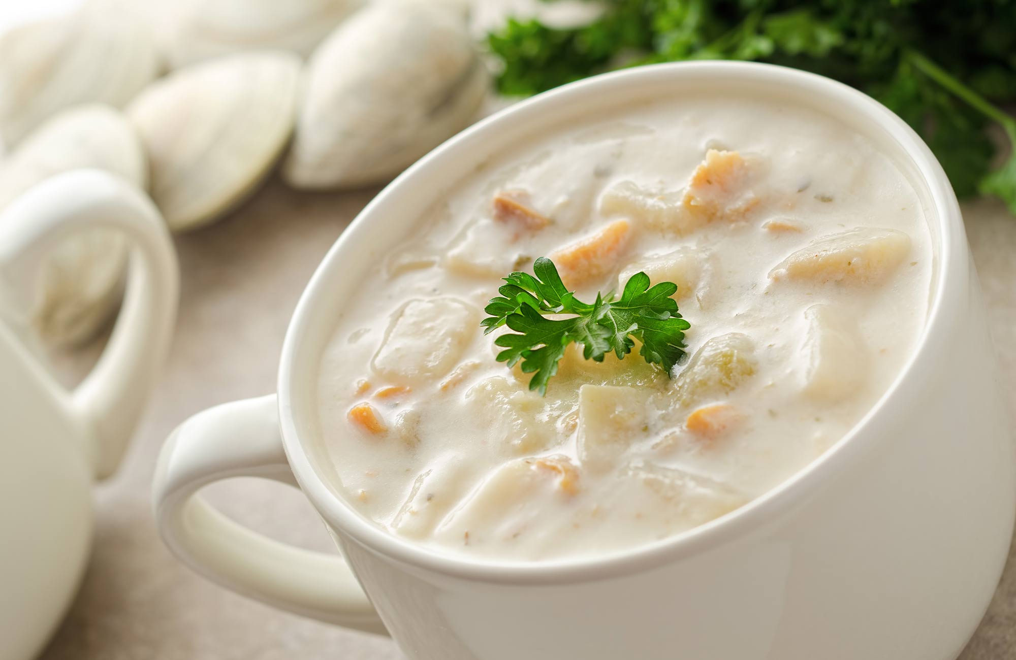 Nantucket Clam Chowder from Sayle's Seafood on Nantucket, MA