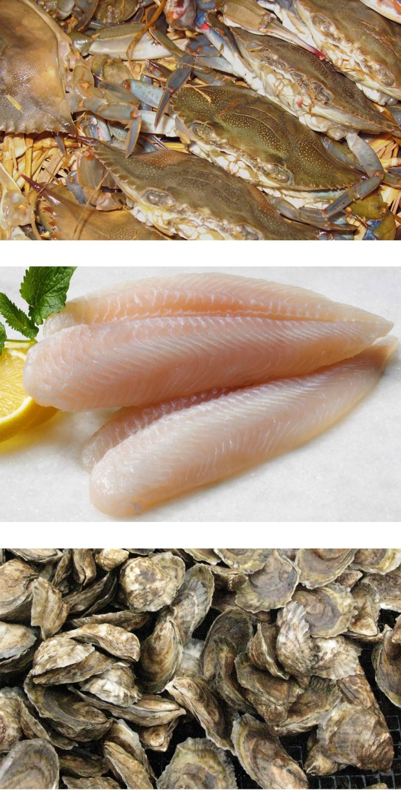 Nantucket Fish Market / Sayle's Seafood on Nantucket